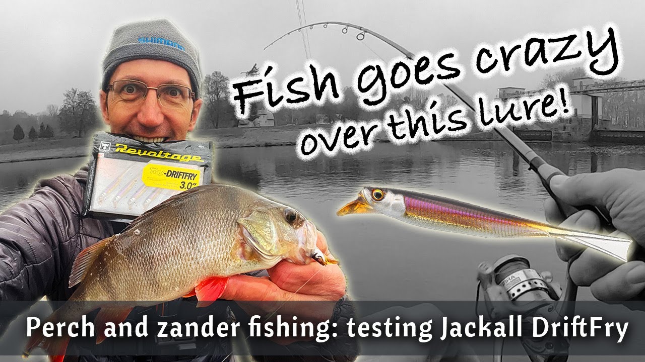 FISH goes CRAZY over this lure! Perch & zander fishing with Jackall ...