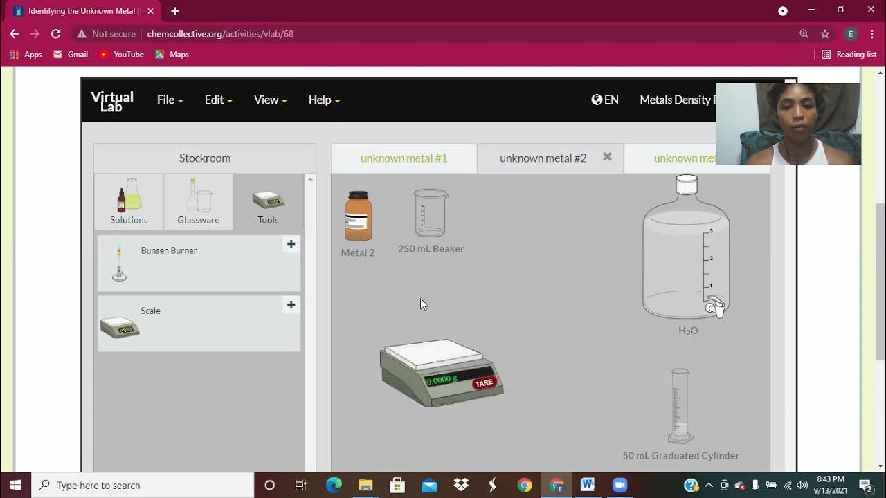 Virtual lab: Identifying the unknown metal (metals density problem ...