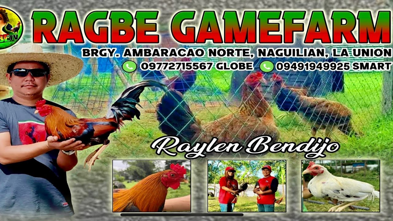 Shipment from La Union to Leyte (5K Sweater Stag, Gilmore Hatch ...