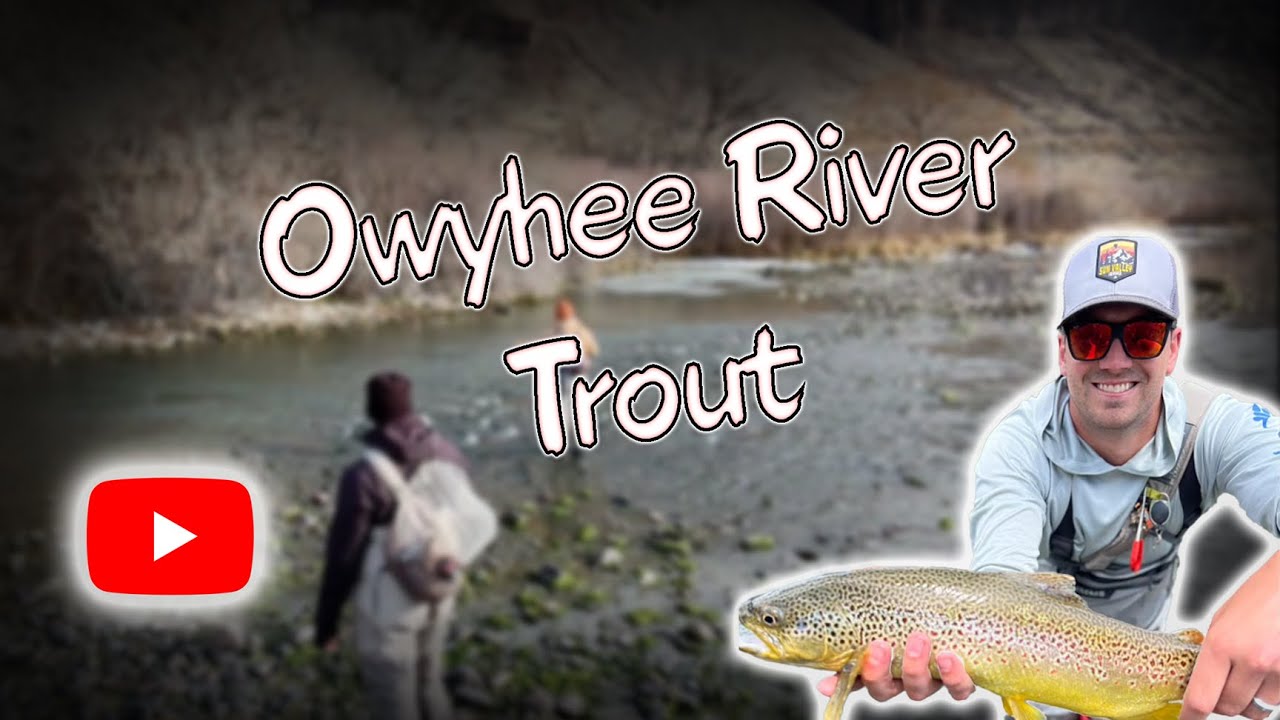 Owyhee River Fly Fishing #flyfishing #troutfishing #fishing # ...
