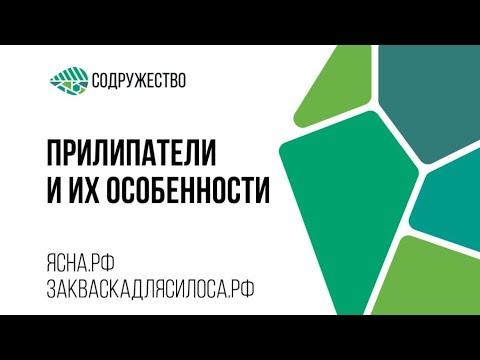 ⚡️ПРИЛИПАТЕЛИ И ИХ ОСОБЕННОСТИ - YouTube