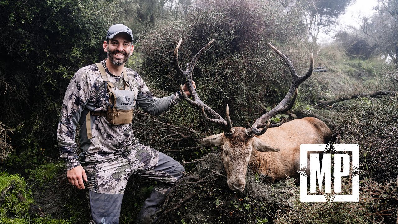 New Zealand Stag Hunt | Mark V. Peterson - YouTube