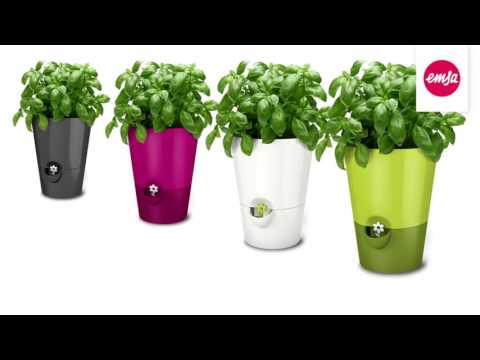Горшок FRESH HERBS от EMSA - свежая зелень каждый день
