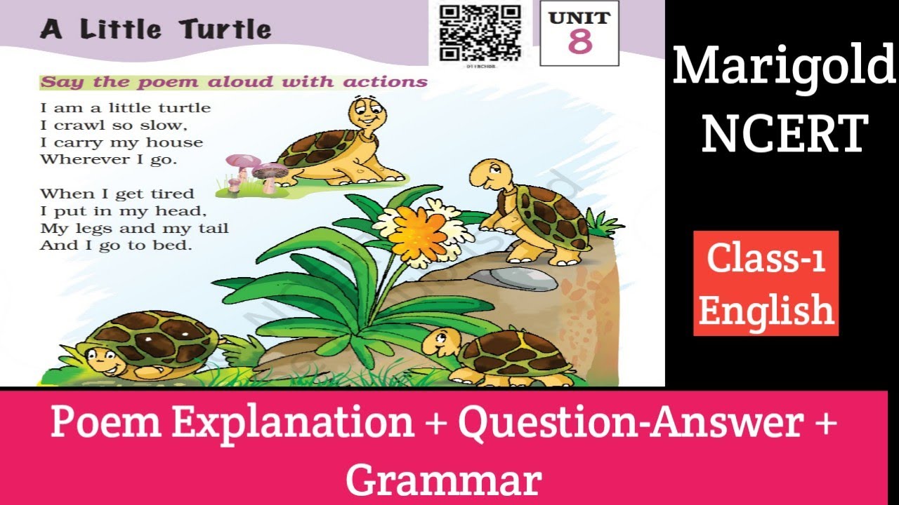 A Little Turtle (Unit-8) Class-1 English NCERT MARIGOLD Poem ...