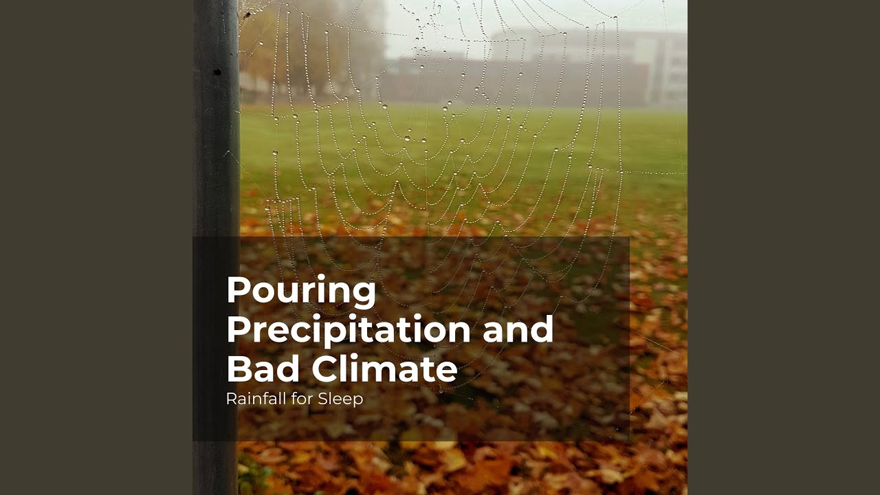 Rain Falling All Night - YouTube