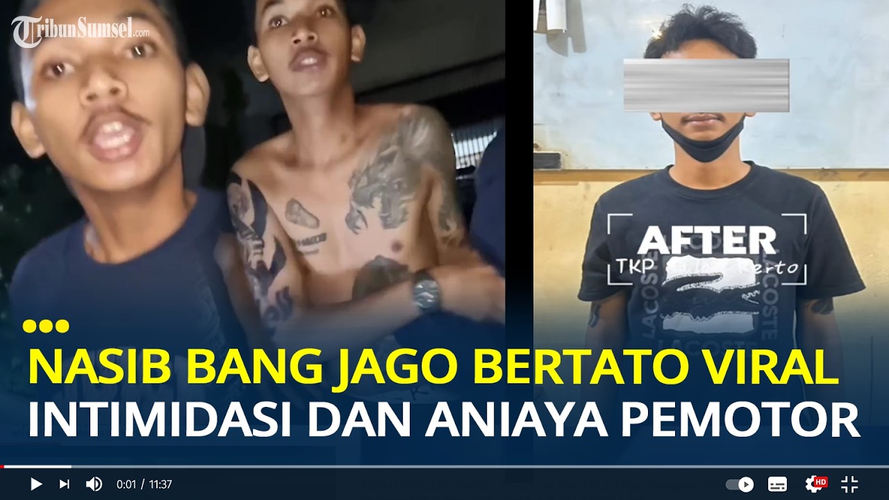 Nasib Bang Jago Bertato Viral Intimidasi hingga Aniaya Pengendara di ...