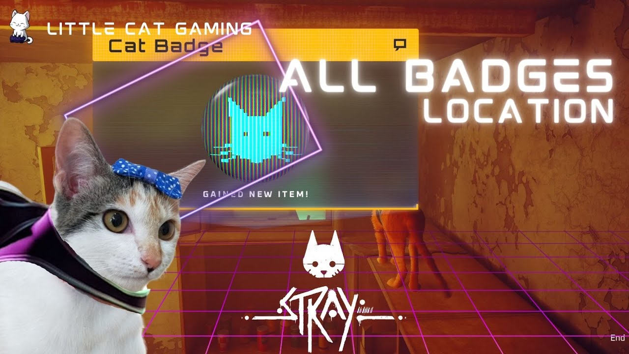 Stray | All Badges Location - YouTube