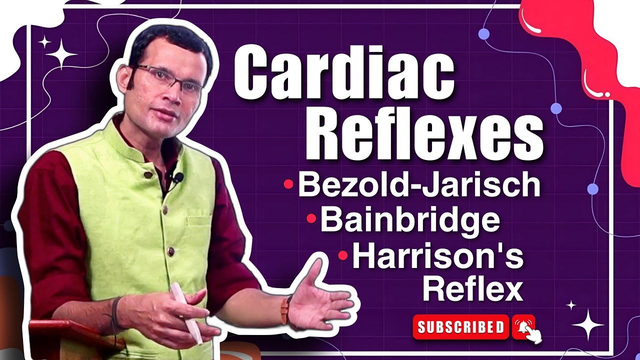 Cardiac reflexes ~ Bezold-Jarisch, Bainbridge, and Harrison's reflex ...