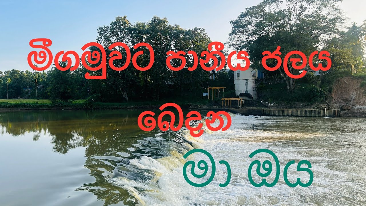 මීගමුවට පානීය ජලය බෙදන මා ඔය වේල්ල සොයා ගිය දුෂ්කර ගමන.travel to Ma-Oya ...