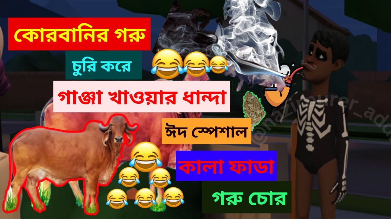 কোরবানির গরু চুরি করে গাঞ্জা খাওয়ার ধান্দা।। #@nazirpurer_adda (না ...