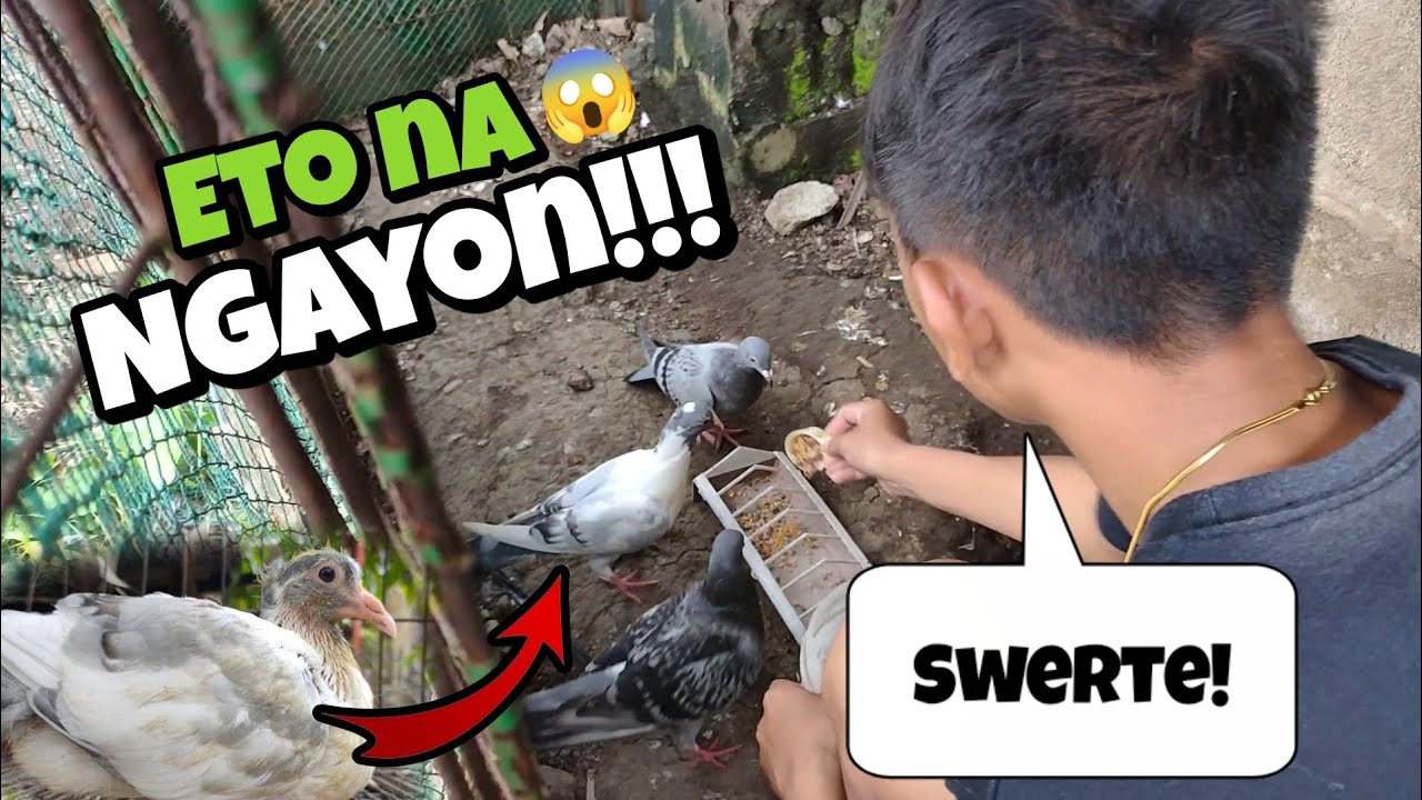 Gusto Kong iBuyback Ung Jansen Relax😭 - YouTube