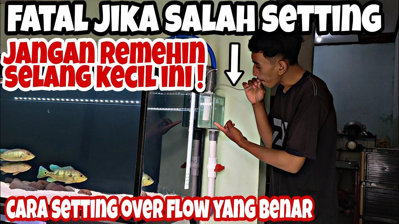 Cara Setting Over Flow aquarium. Penjelasan fungsi selang kecil di Box ...