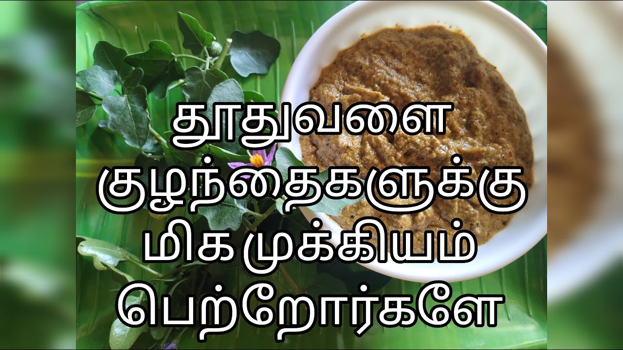தூதுவளை பயன்கள், thuthuvalai payankal, mooligai samaiyal, healthy ...