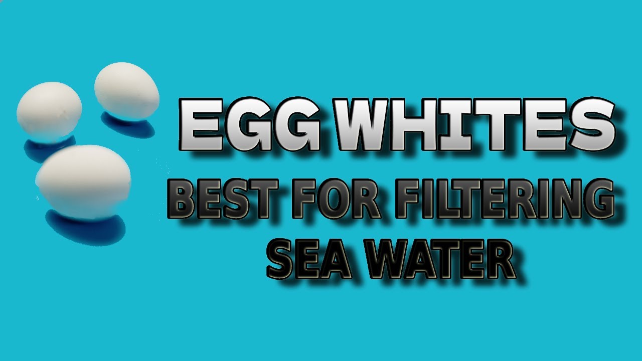 Egg Whites Best For Filtering Sea Water - YouTube