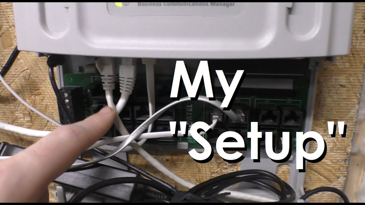 A Cat Explains His "Setup" - YouTube