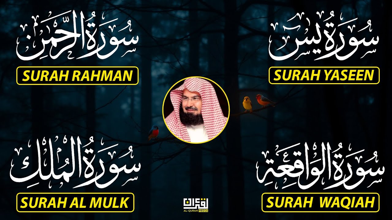 Surah Yasin | Surah Rahman | Surah Waqiah | Surah Mulk | By Sheikh ...