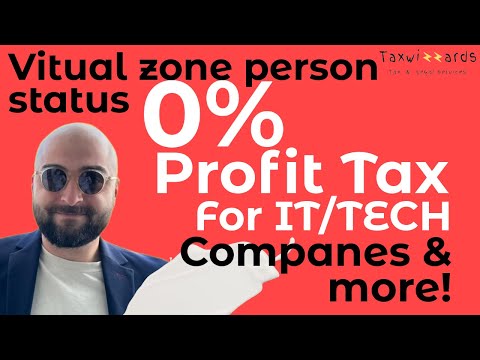 How IT Companies Thrive in Georgia: The Virtual Zone Person status