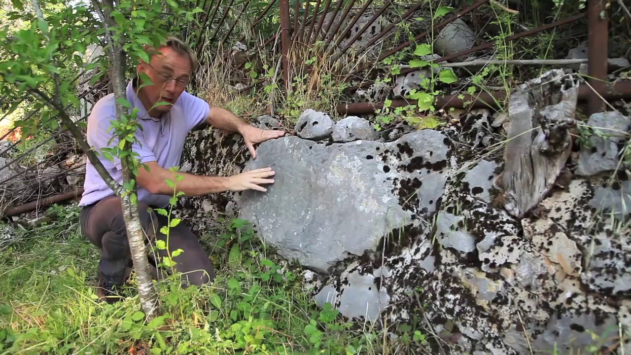 Trailer for The Trigger by Tim Butcher - YouTube