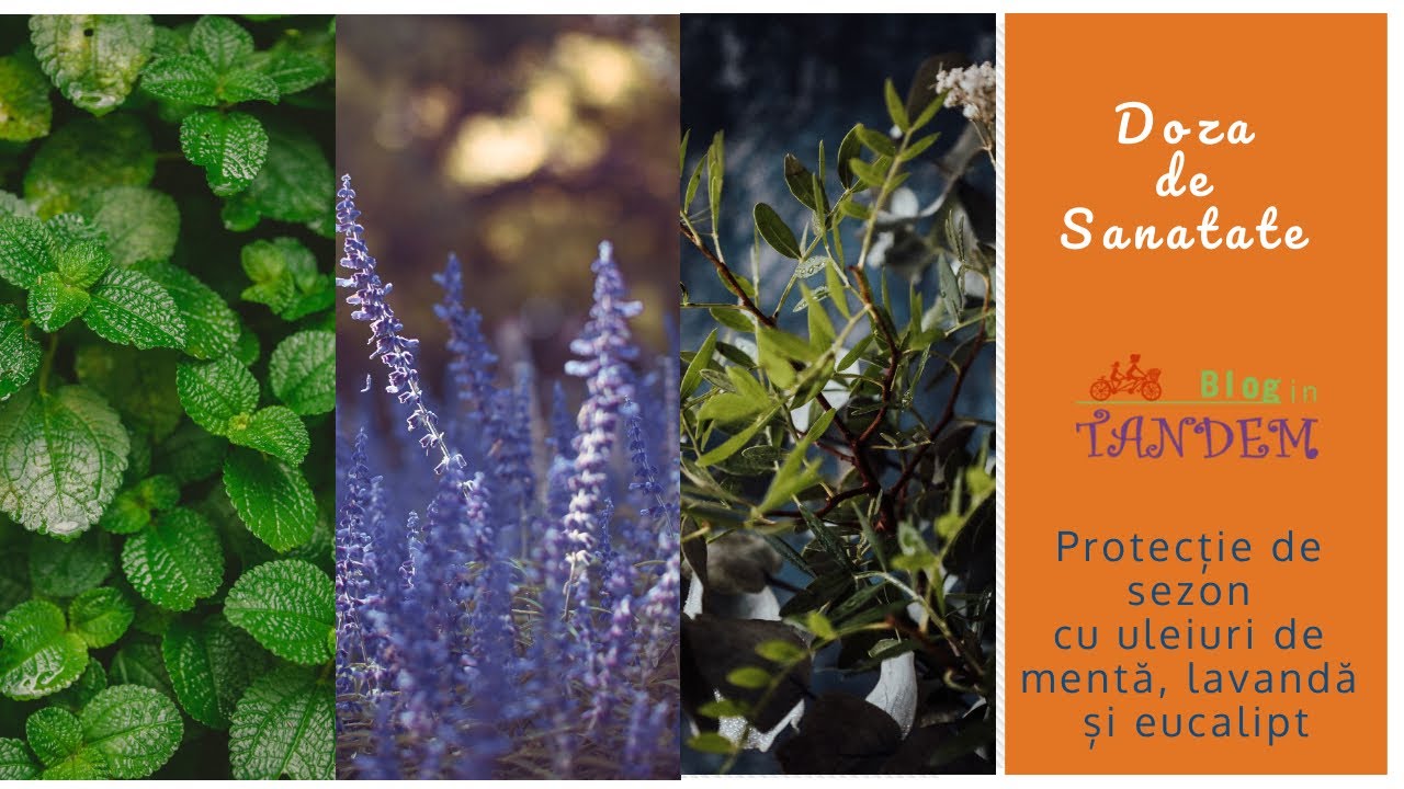 Doza de Sănătate - Biosept roll-on nazal - YouTube