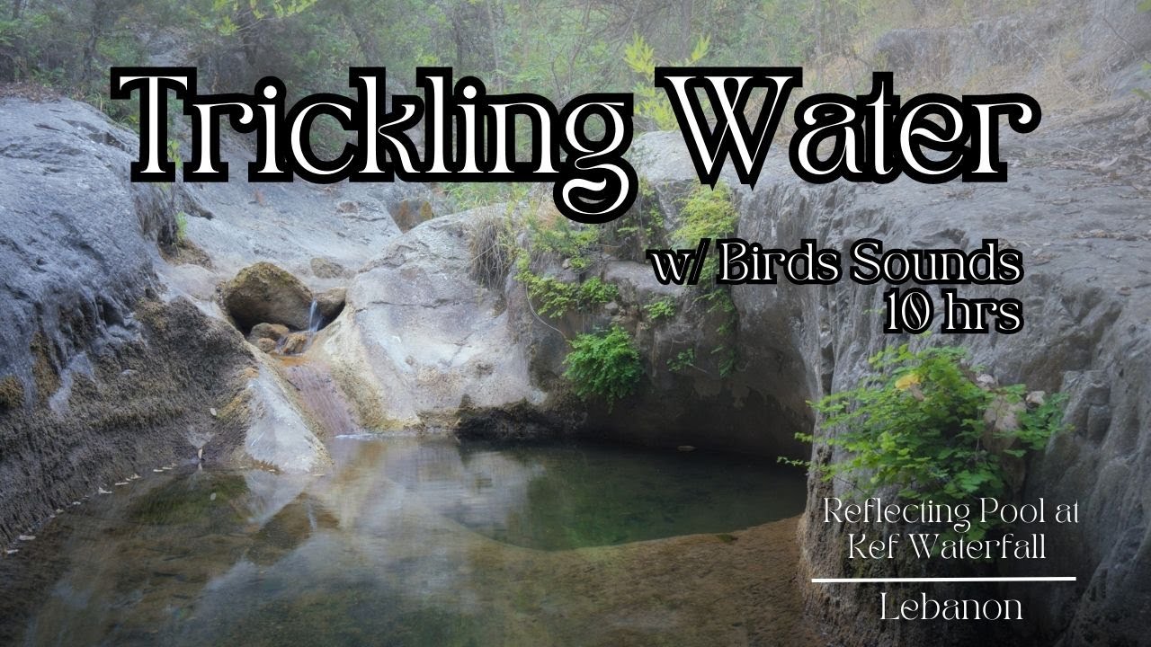 Water Trickling into a Calm Pool - 10 hrs of Water and Bird Sounds for ...