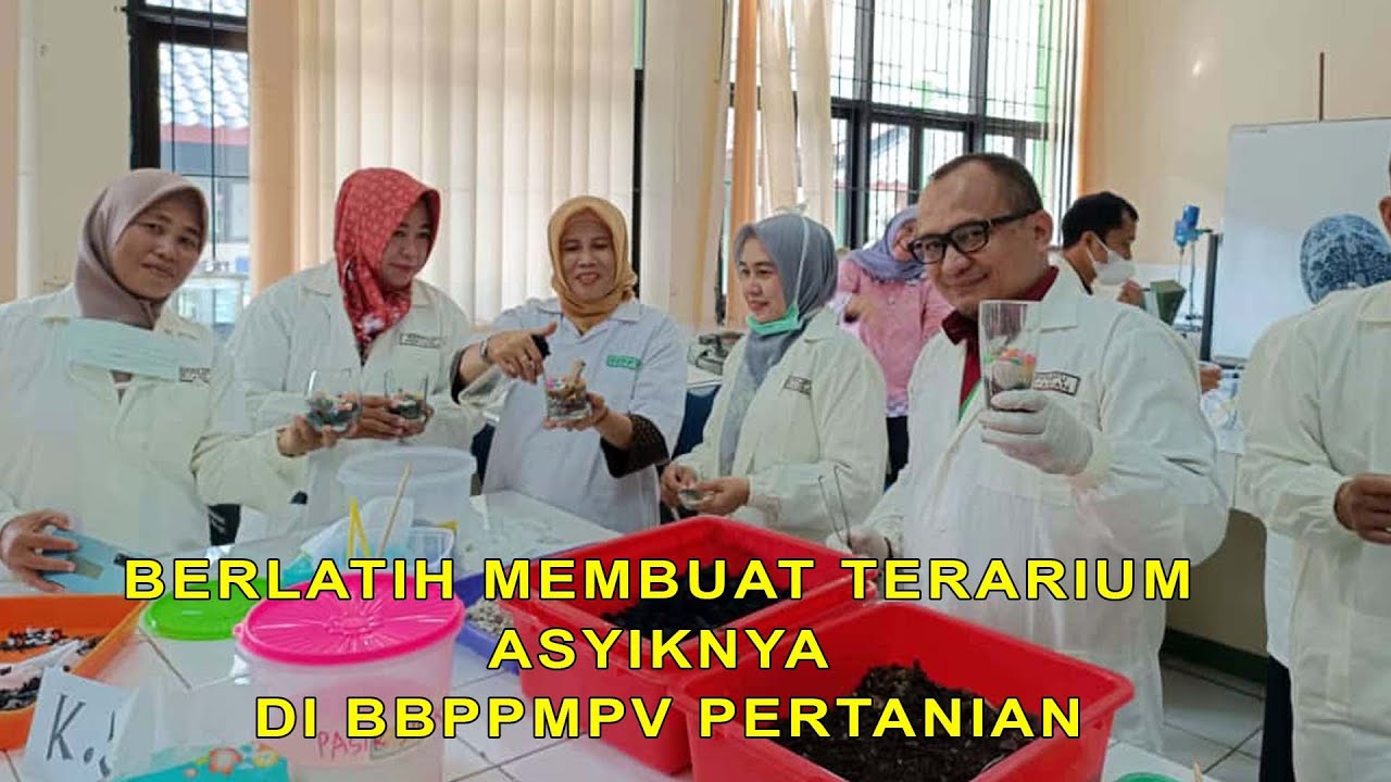 Berlatih membuat terarium, Asyiknya di BBPPMPV Pertanian - YouTube