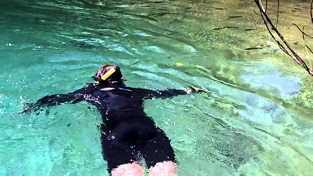 Snorkeling in Bonito, Brazil - YouTube