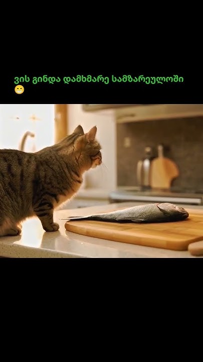 ვის გინდა დამხმარე სამზარეულოში😁 Youtube