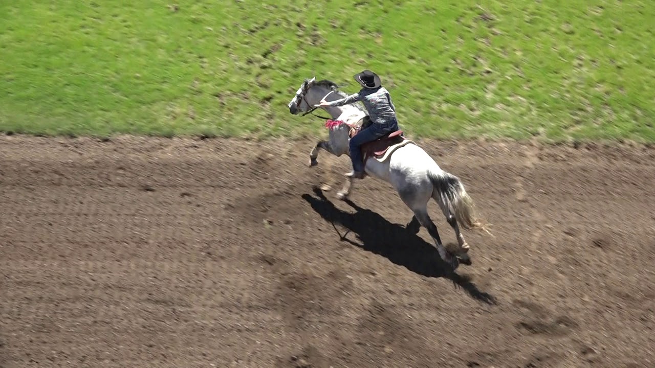 Joleen Larsen and Zillas Snow Bird 30.996 Pendleton Round-Up 7-1-18 ...