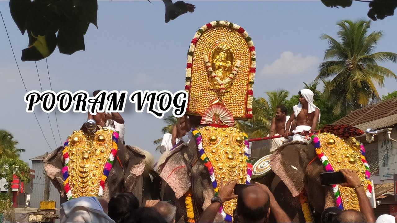 Pooram Vlog ️🥹 PARIYANAMPATTA Pooram, Poora m Views, Temple, Elephants ...