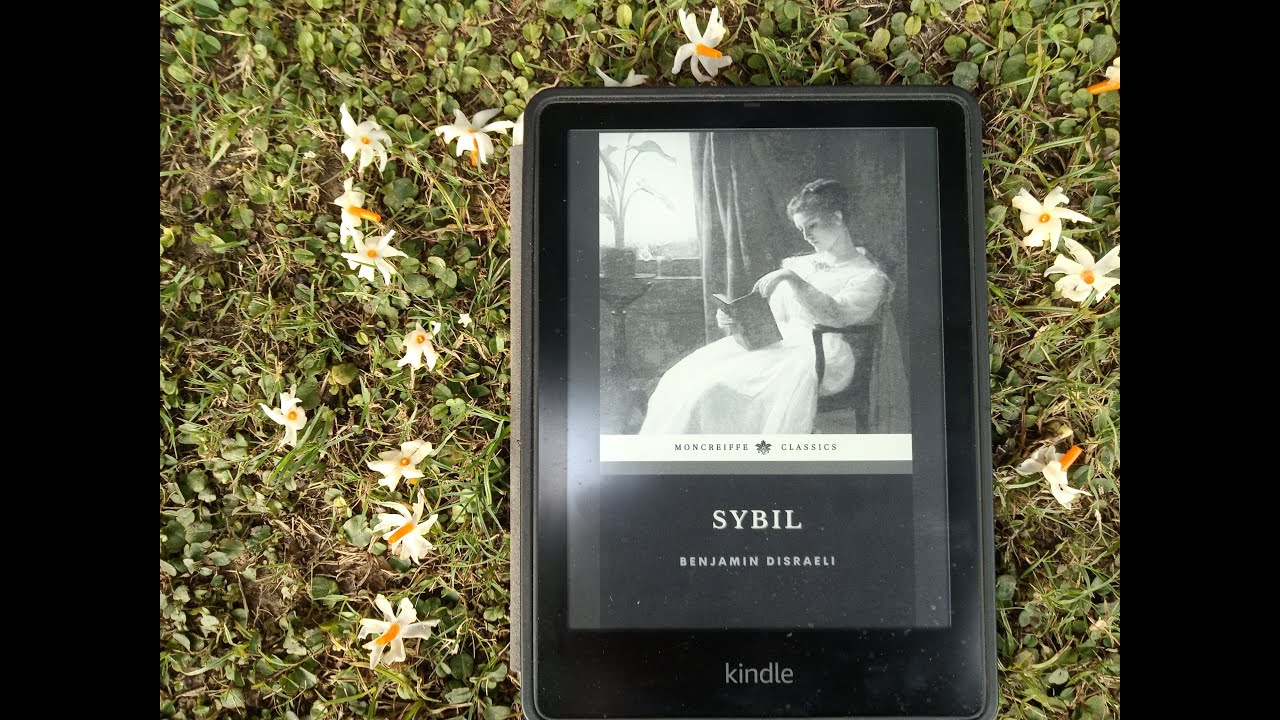 Sybil - A Book Review by Monish - YouTube