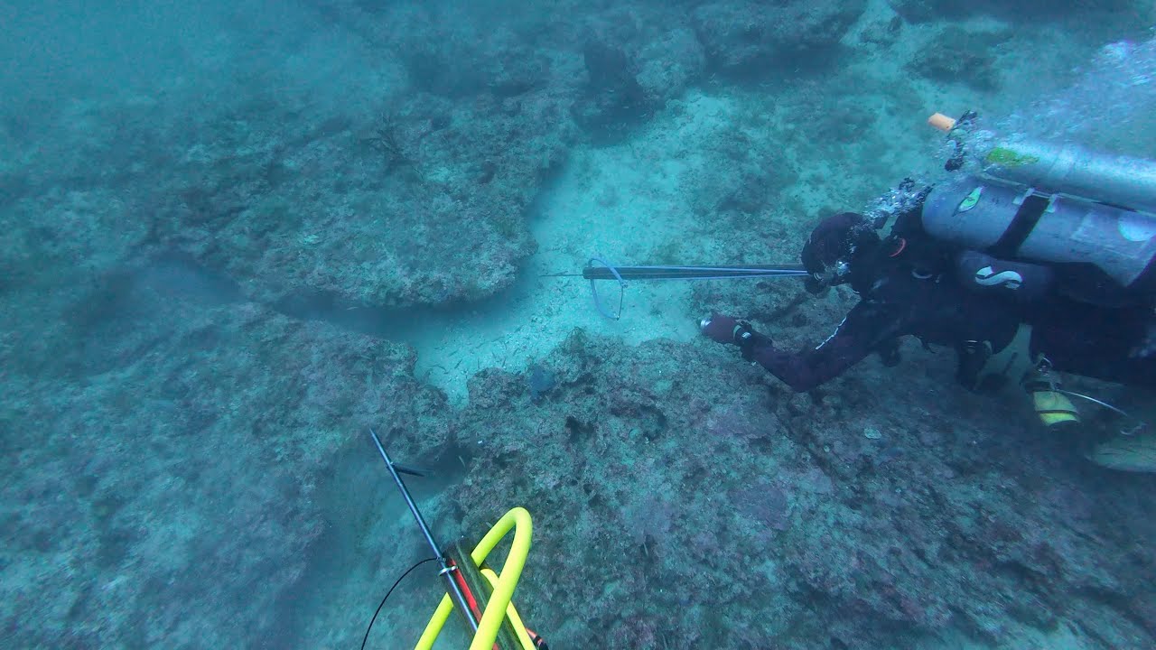 Elbow Dive 180'| Blacks Muttons Hogs - YouTube