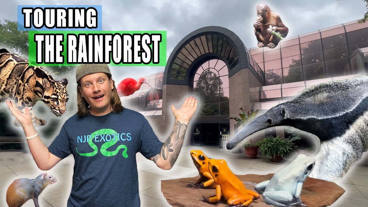 My LAST Visit to The Rainforest at Cleveland Metroparks Zoo! - YouTube