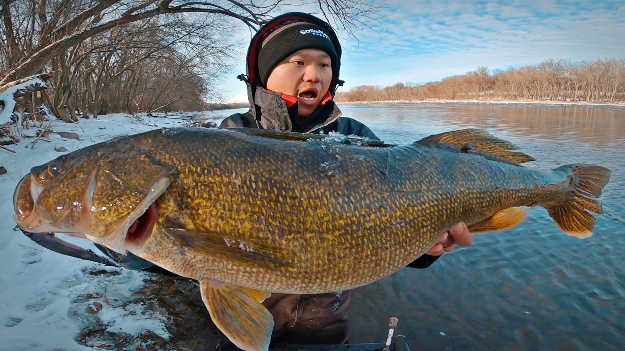 FISH of a LIFETIME! Trophy size MEGA Walleye - YouTube