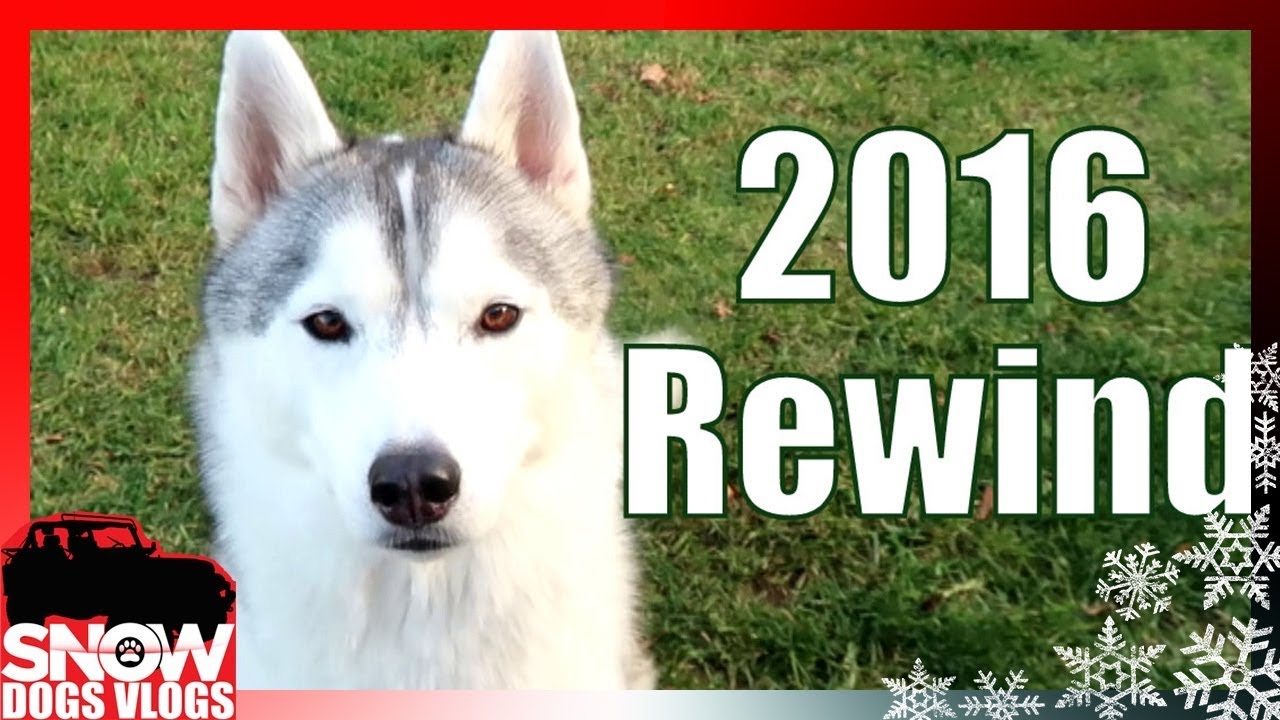 2016 YOUTUBE REWIND | Top 10 Videos and Moments - YouTube