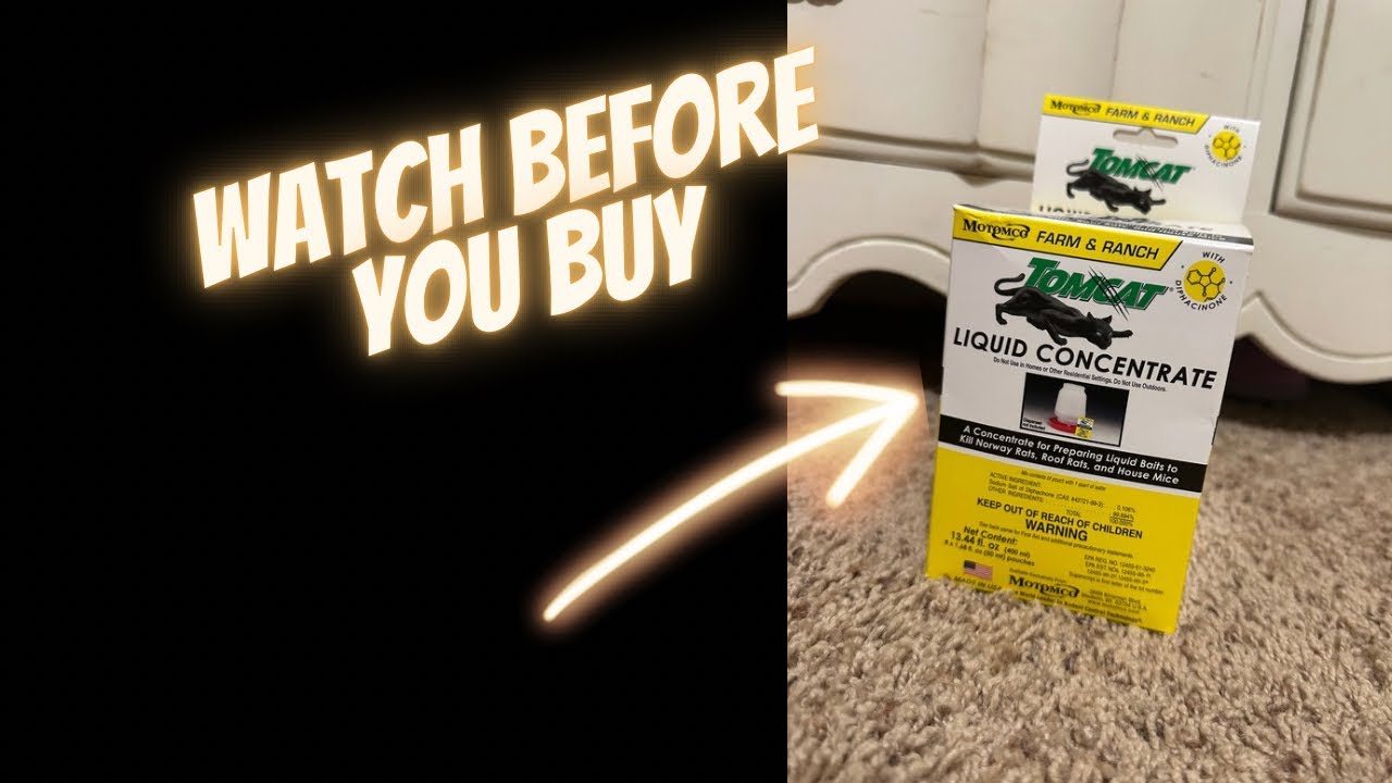 Get the rats under control #amazonfinds #pestcontrol #ratcontrol - YouTube