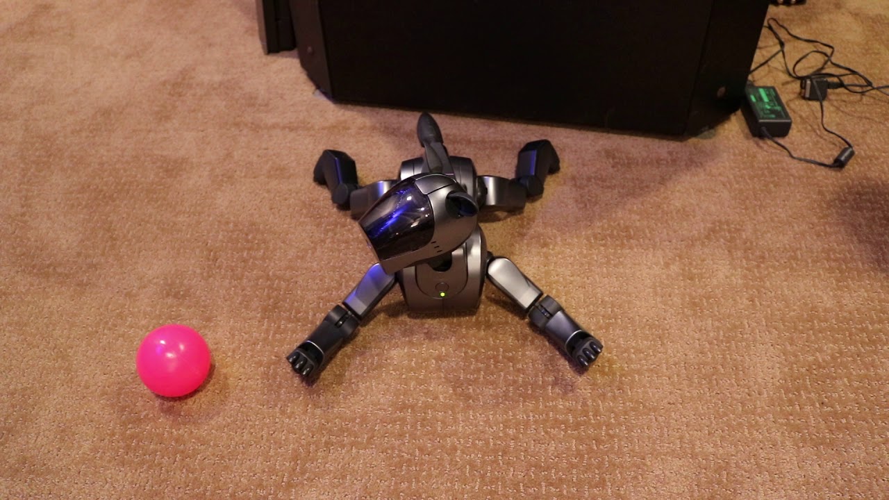 AIBO 210 - Life 1 newborn pup (Baby Stage 1) - YouTube