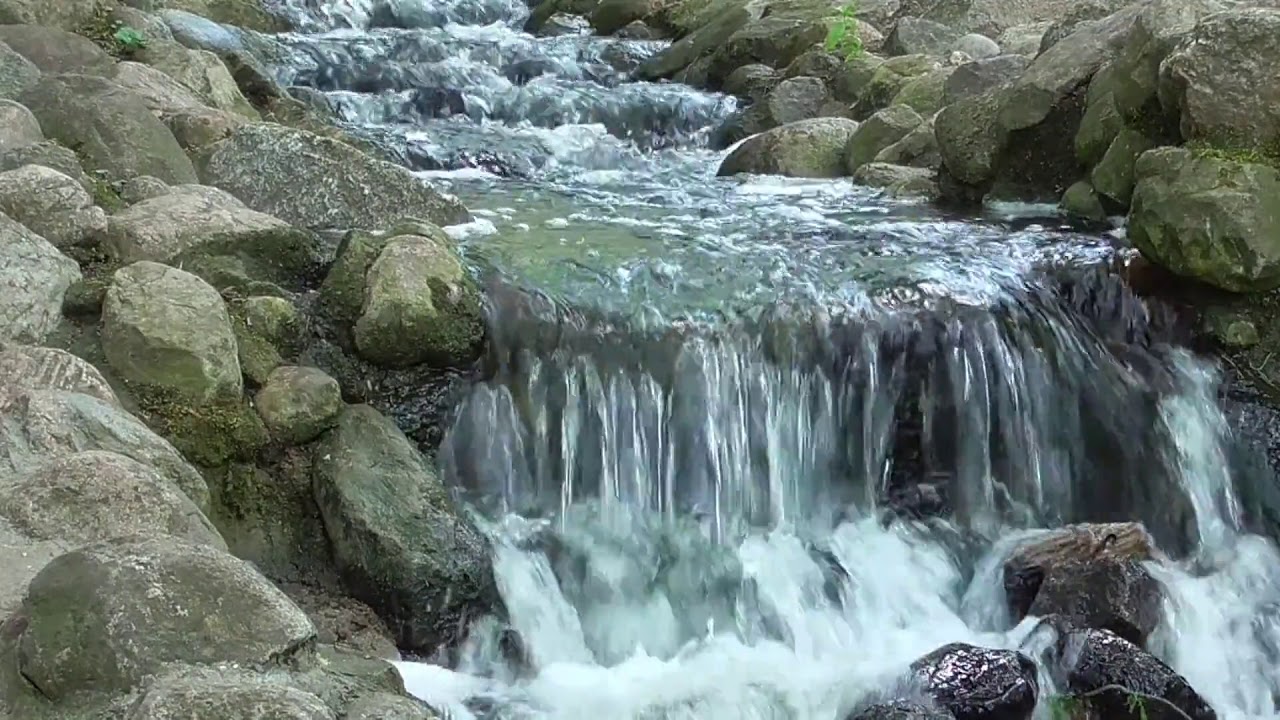 Relaxing Waterfall Sound - Nature Ambiance - YouTube