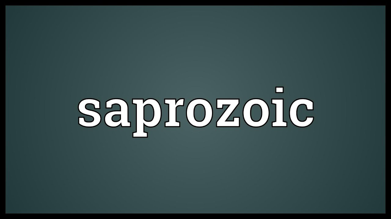 Saprozoic Meaning - YouTube