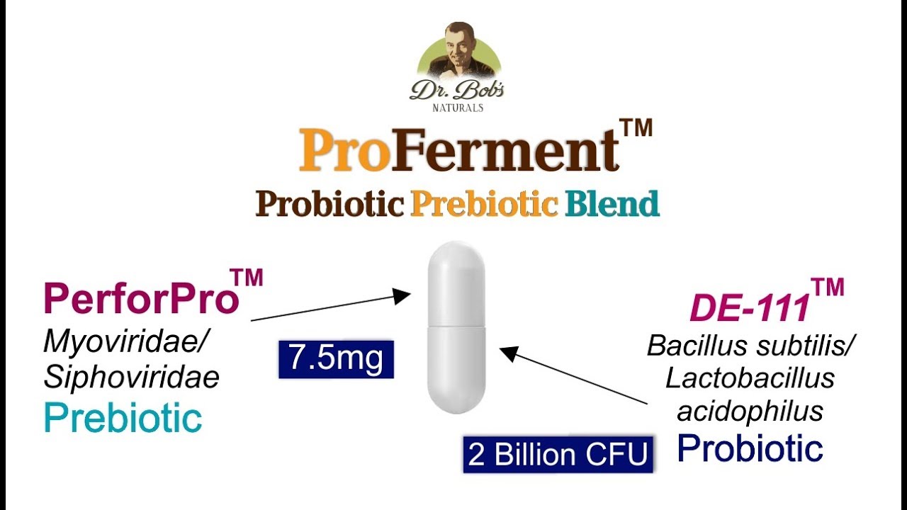 ProFerment: Probiotic with Prebiotic For Great Digestion - YouTube