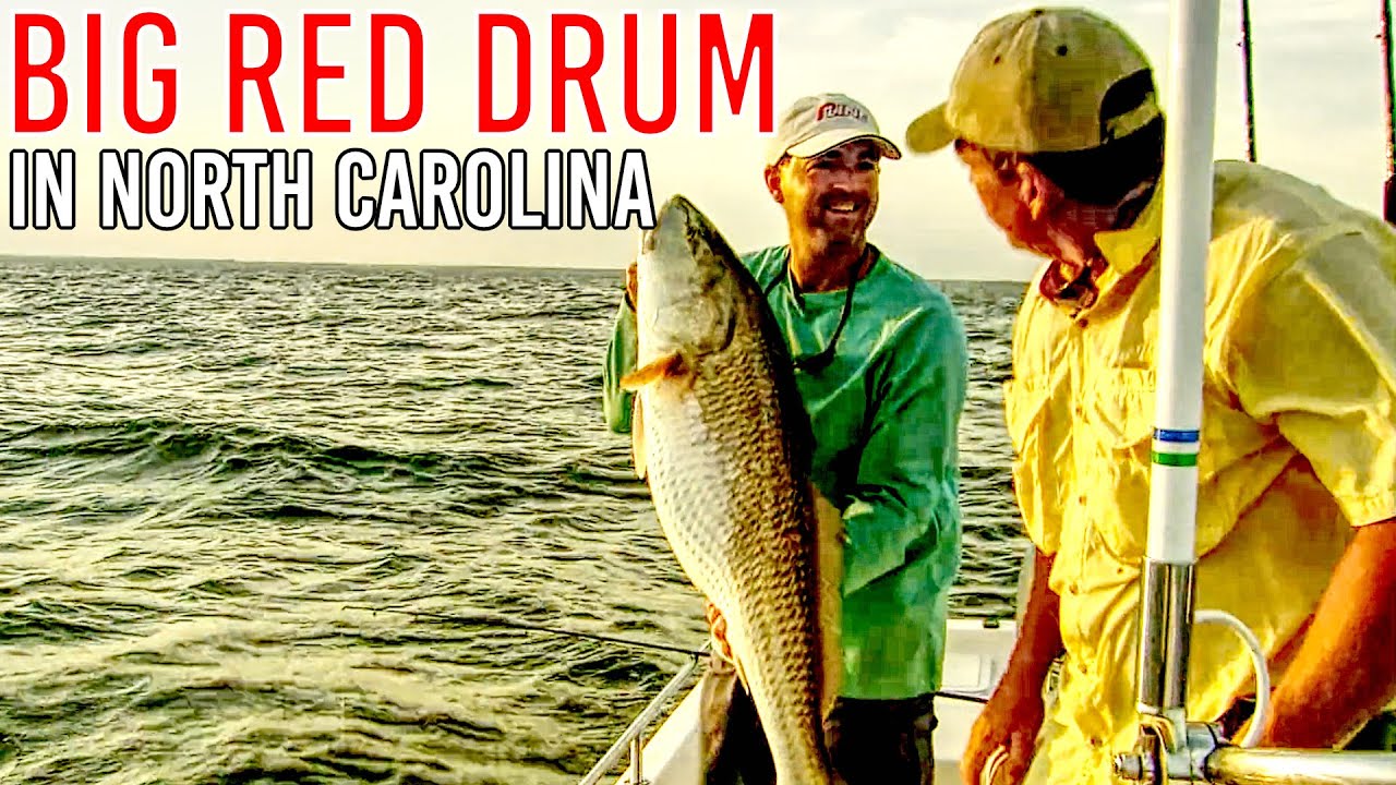 Top Tricks for Landing Giant Redfish - YouTube
