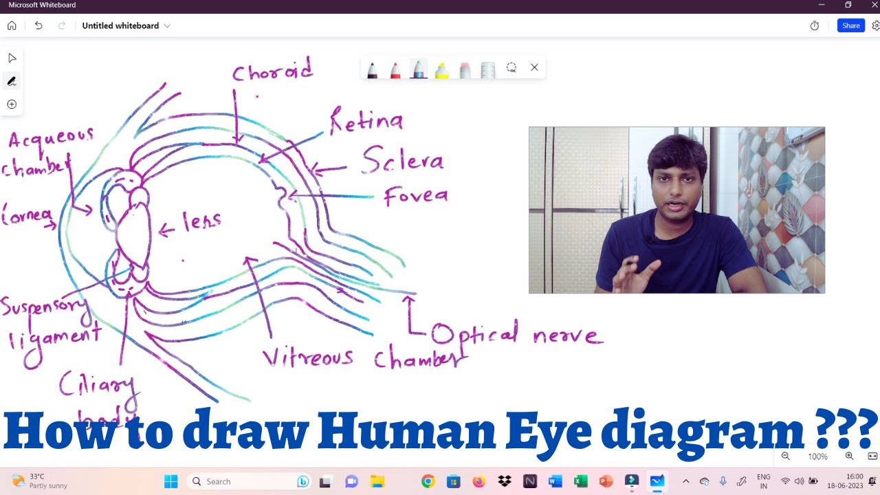How to draw Human Eye Diagram ? #cbsebiology #11th_biology #biology # ...