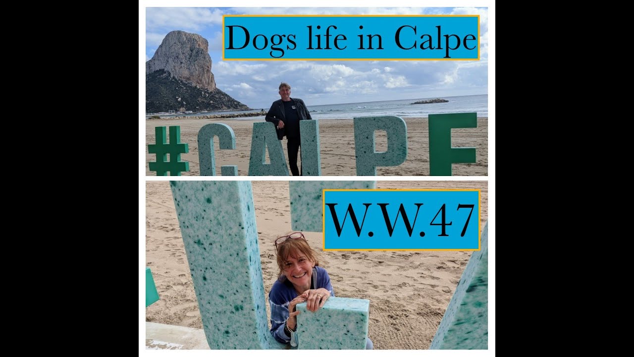 its a dogs life in Calpe - YouTube