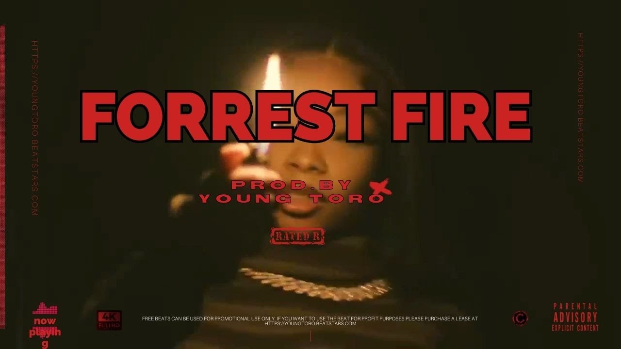 [FREE] Freestyle Type Beat - "Forrest Fire" Lola Brooke Type Beat l Rap ...