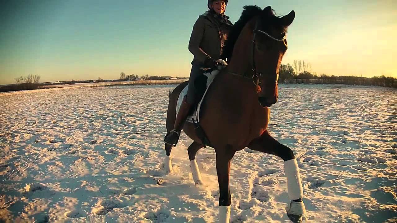 Elenore Simberg - YouTube