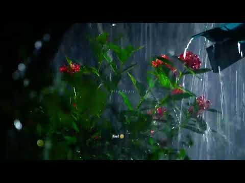 rain status for whatsapp ⛈ 😴 | Vlog Cliprs | rainy day 😴 😊 | Park time ⏲ rain 🌧 | #rain