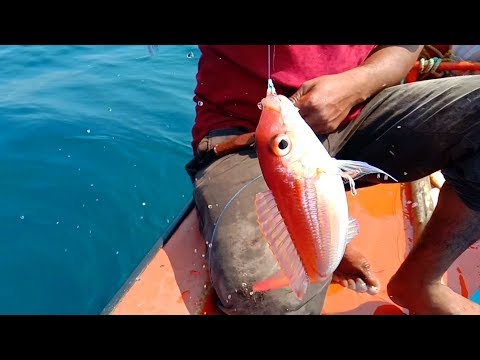Amazing fishing catching skill, hand line fishing in tha sea - YouTube