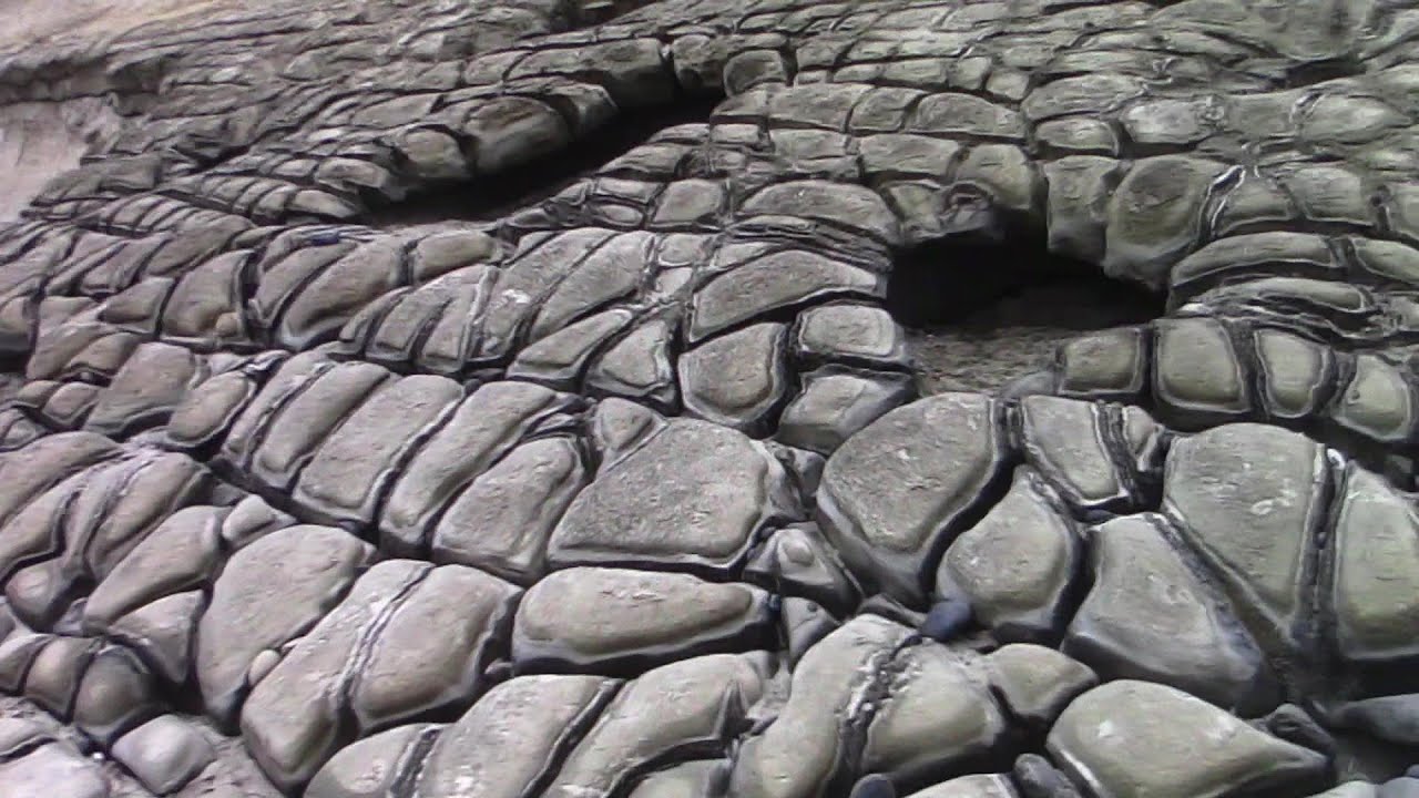 Mudfossil Bilipid Membrane, Cell Catalase Test. Part 2 - YouTube