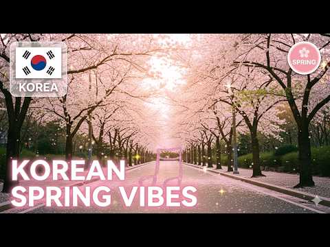 🌸🇰🇷 Korean Spring Vibes — Cherry Blossom Music Mix | musicsiksik