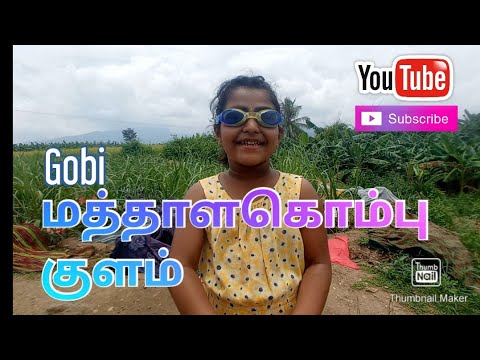 கோபி மத்தாளகொம்பு நீர் ஊற்று குளம்| Gobi Bungalowpudur Mathala kombu ...