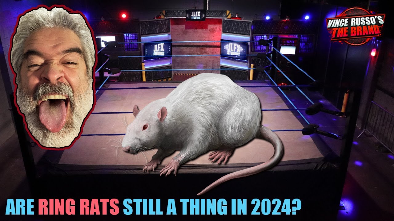 Are "Ring Rats" Still Around In 2024? - YouTube
